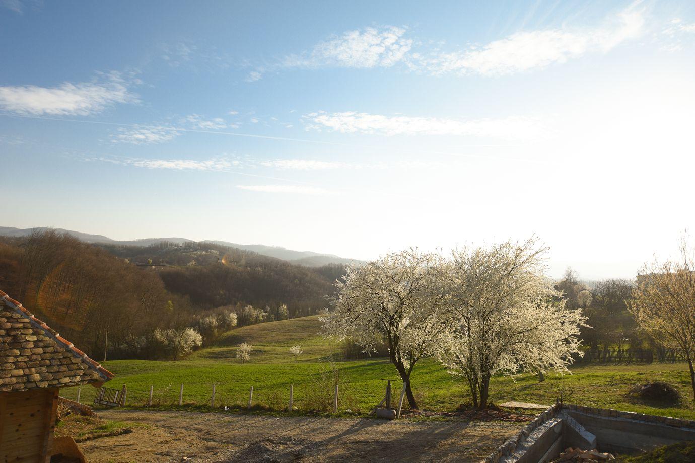 Tršić i Vuk Karadžić | Etno selo Azbuka